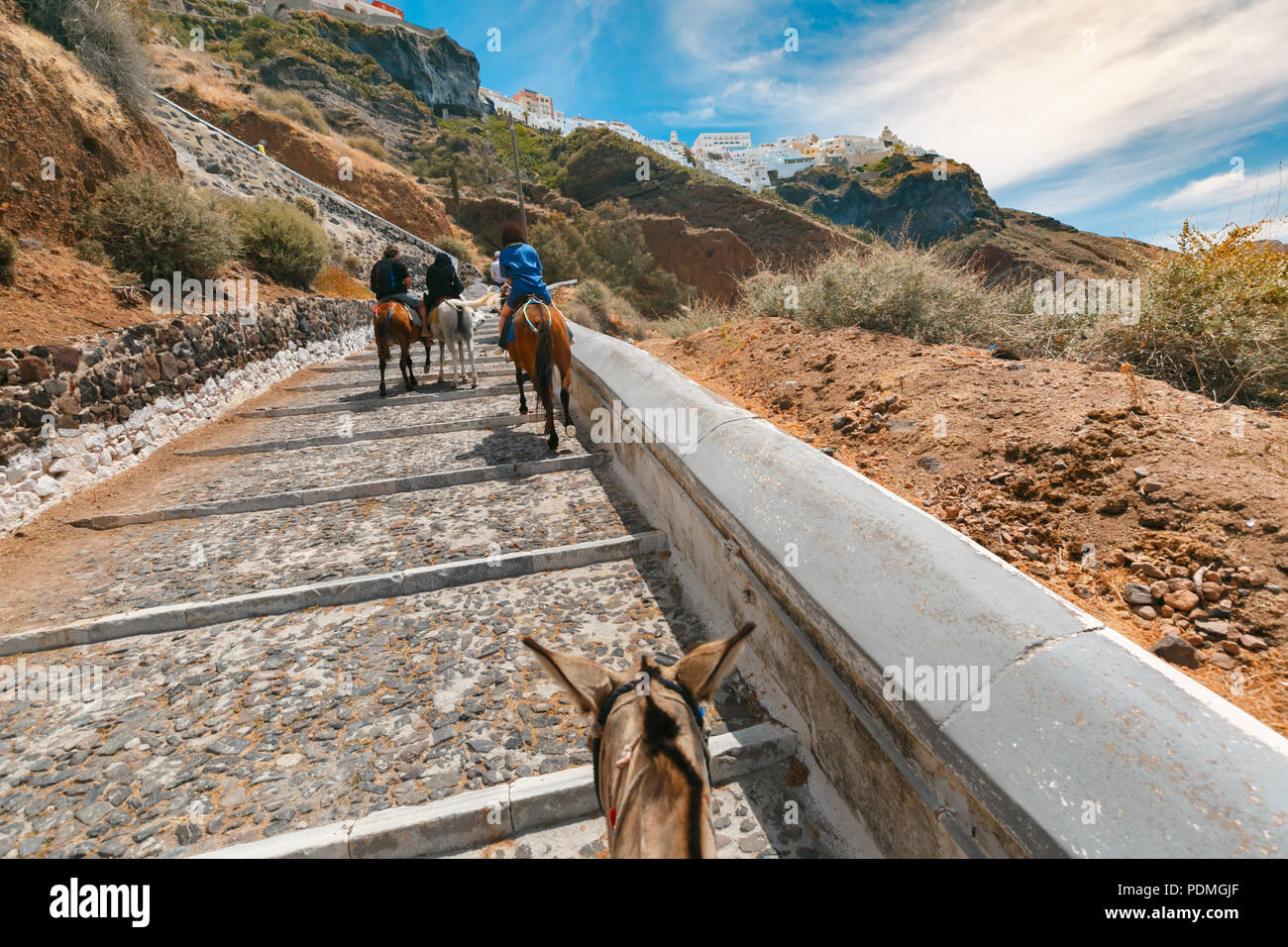 Donkey on stairs of santorini hi-res stock photography and images - Alamy