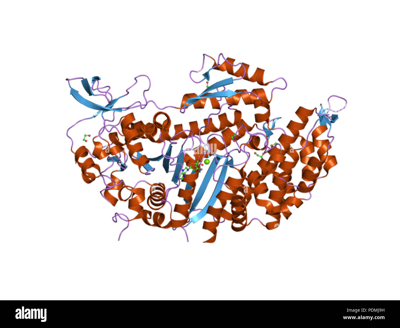 133 x Cut Out Stock Images & Pictures - Alamy