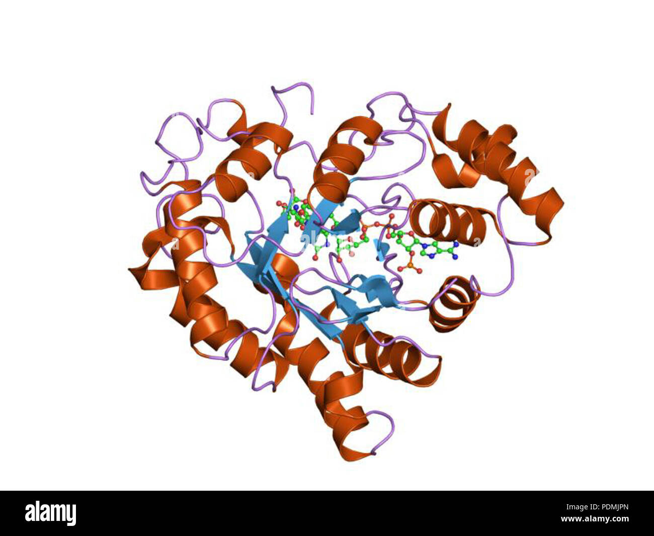 Historical classified records hi-res stock photography and images - Alamy