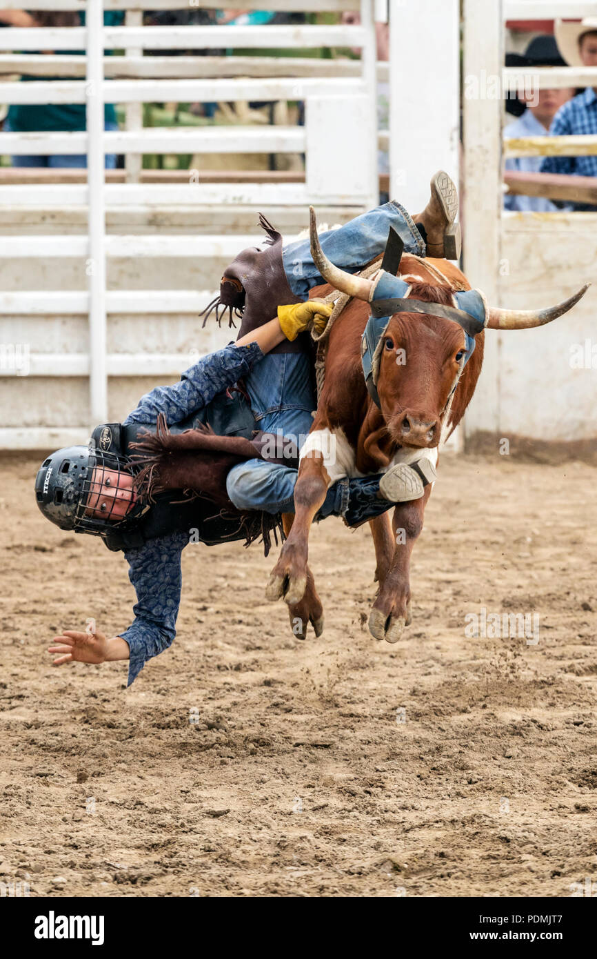 Cowboy competition hi-res stock photography and images - Alamy