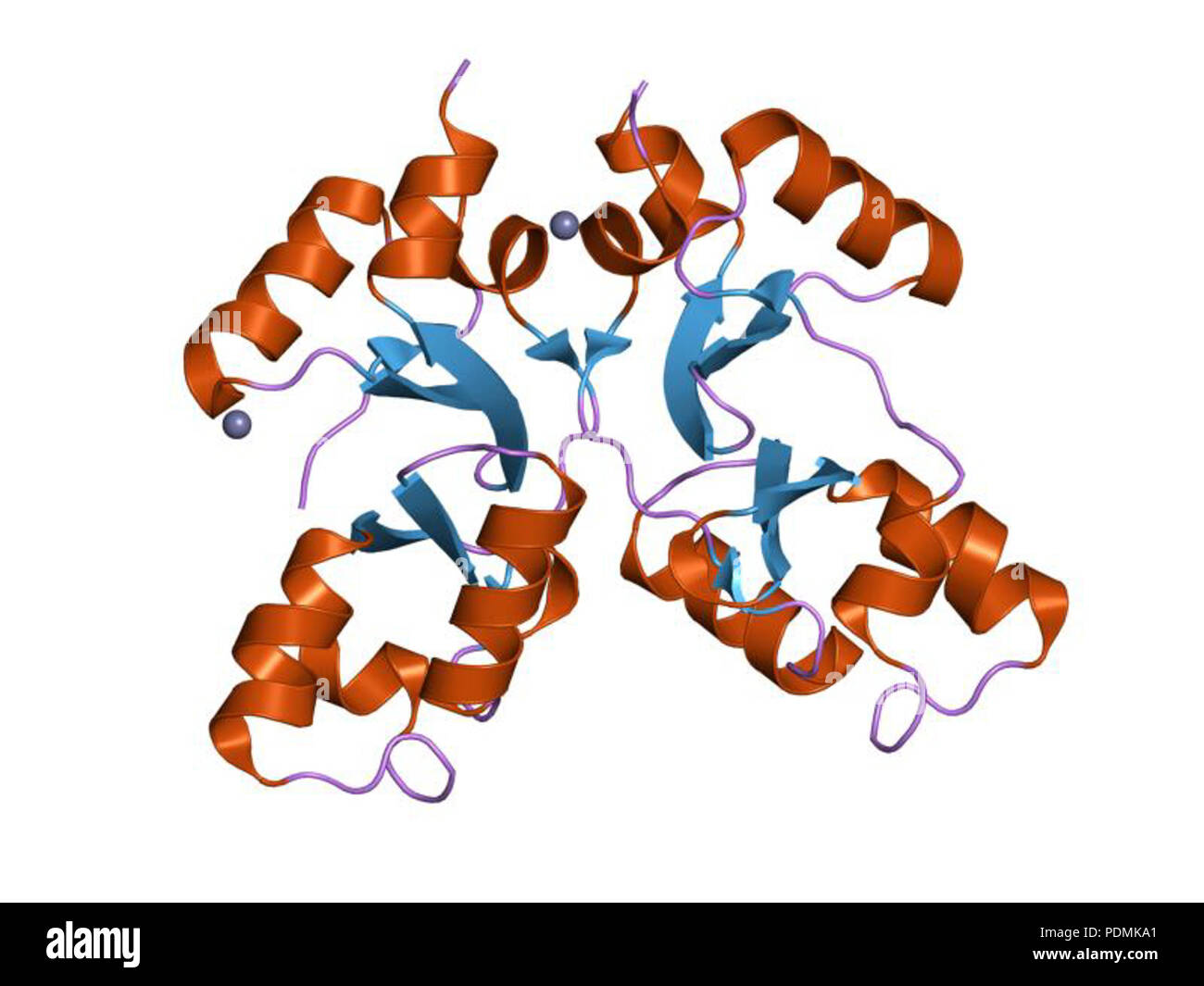 Tuberculosis classification hi-res stock photography and images - Alamy