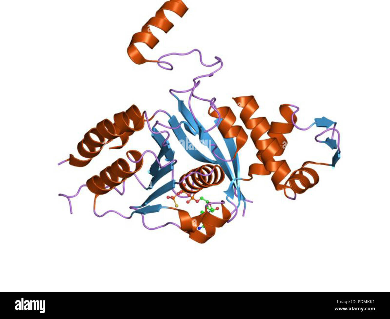 141 PDB 1xp8 EBI Stock Photo - Alamy