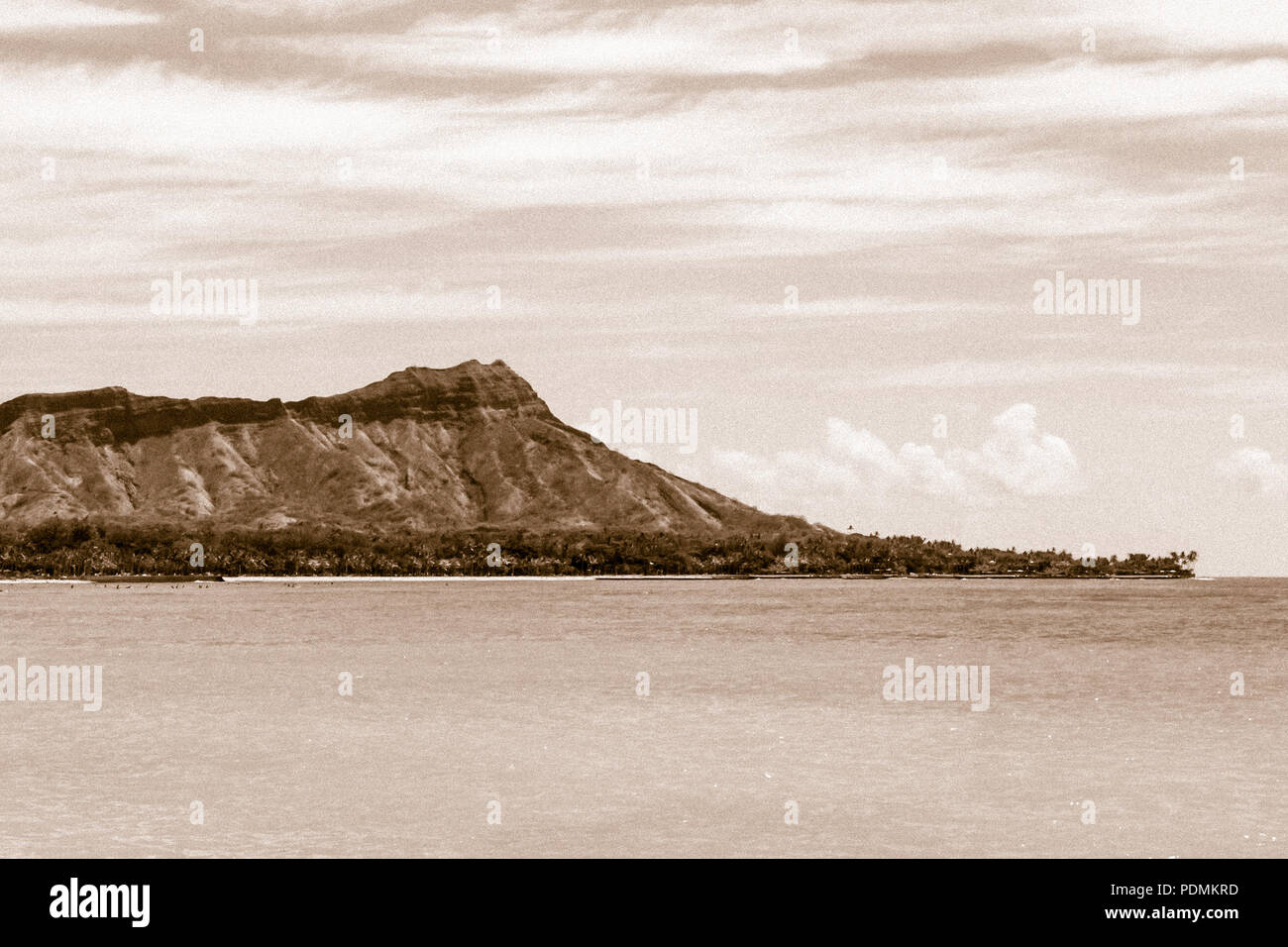 Brow of the tuna hi-res stock photography and images - Alamy