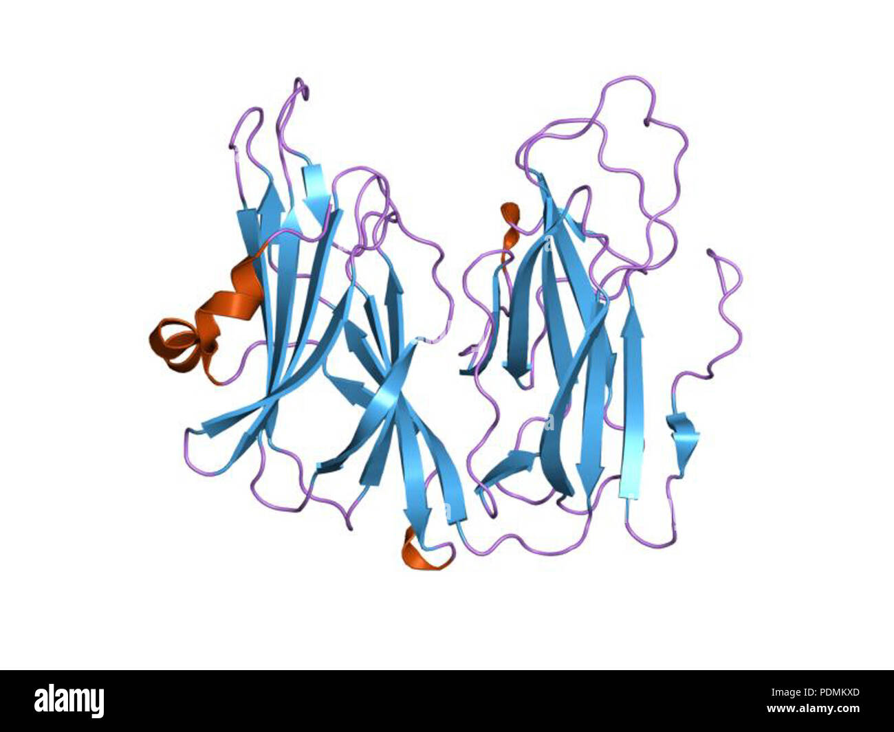 Tertiary mapping hi-res stock photography and images - Alamy