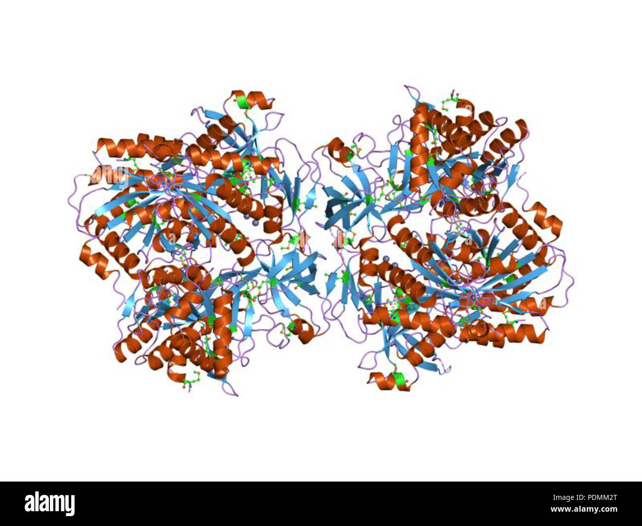 147 PDB 1ylo EBI Stock Photo - Alamy