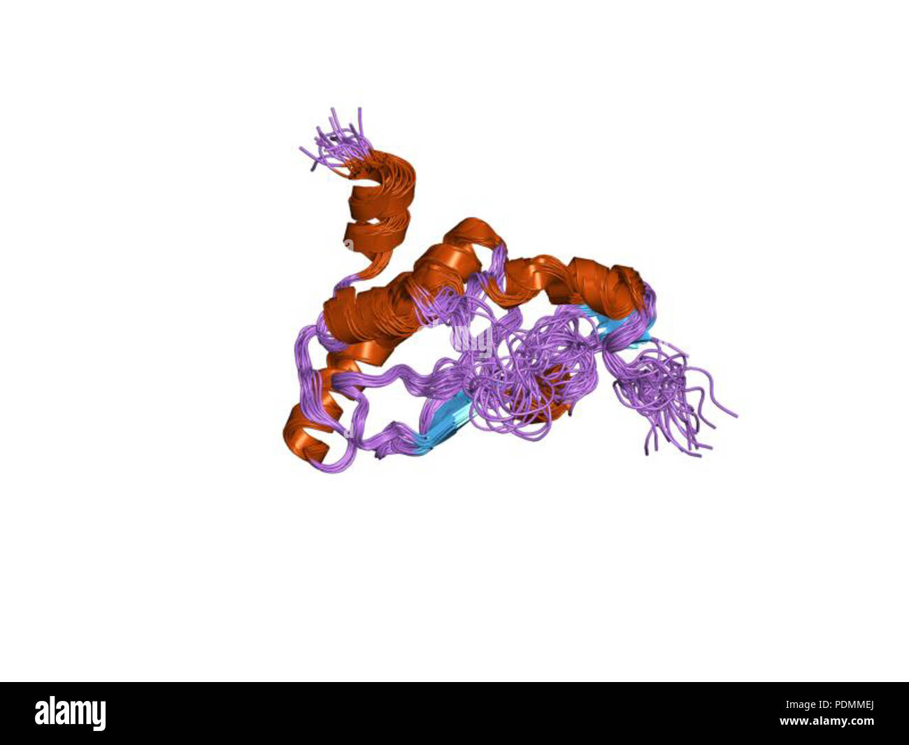Biophysical experiments Cut Out Stock Images & Pictures - Alamy
