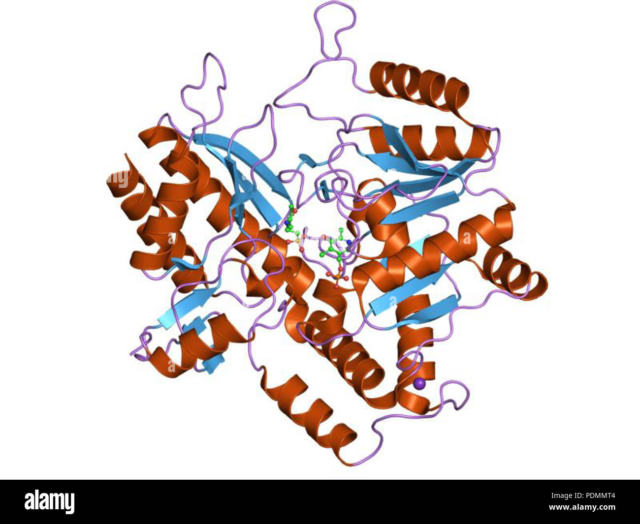 Alpha mutation hi-res stock photography and images - Alamy