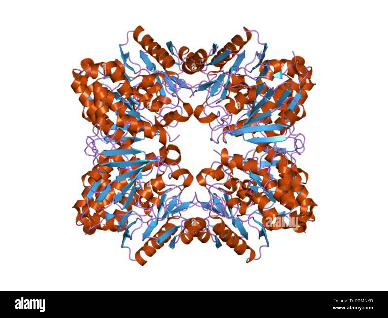 158 PDB 2aci EBI Stock Photo - Alamy