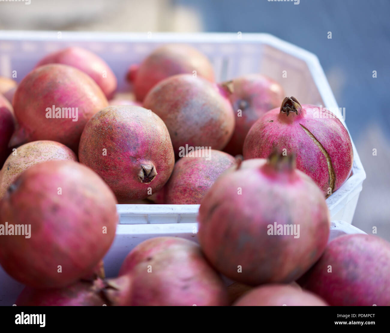 How to grow pomegranate seed hi-res stock photography and images - Alamy