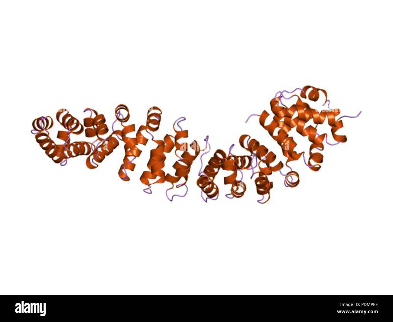 2bct hi-res stock photography and images - Alamy