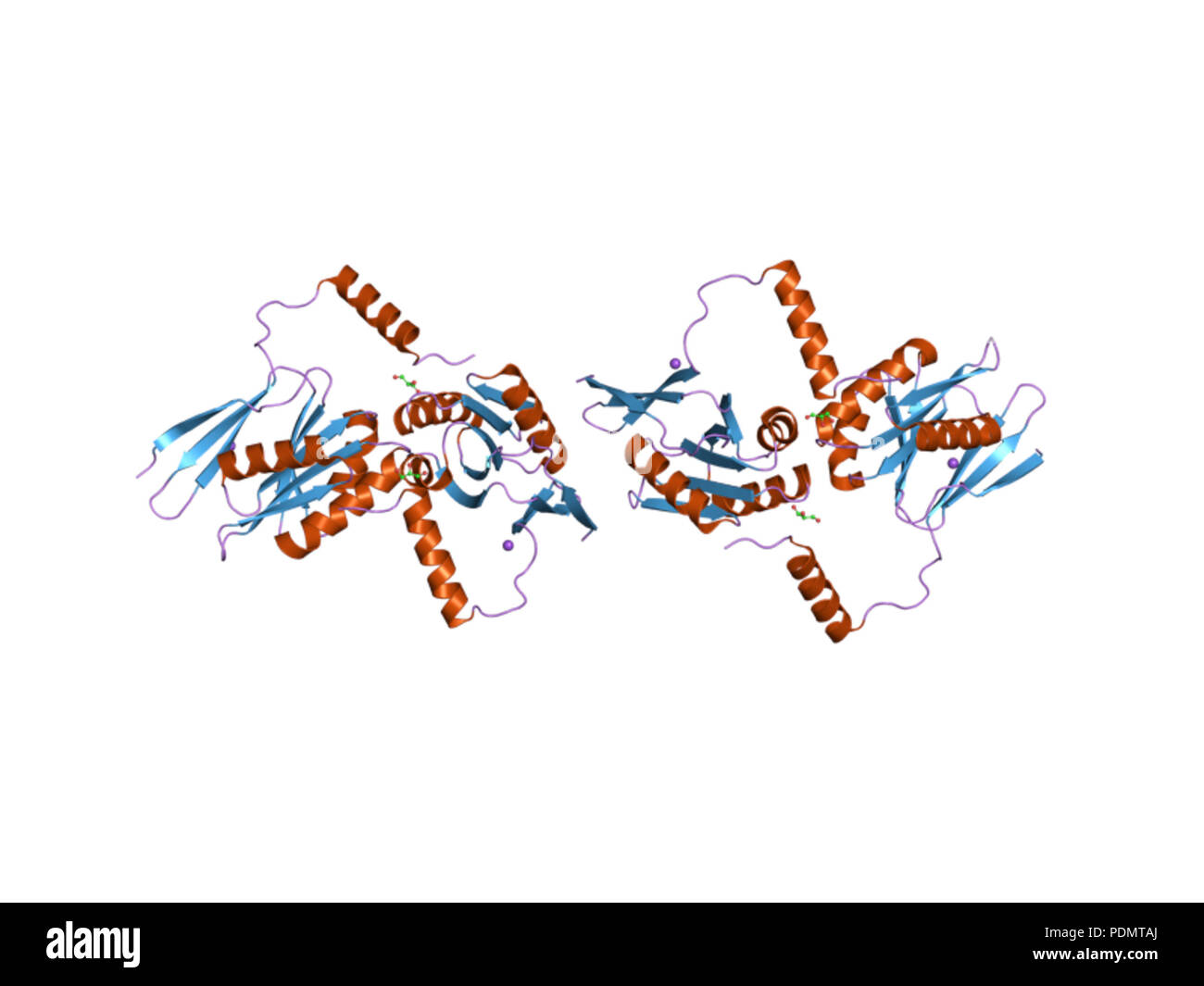 Beta sheet structure hi-res stock photography and images - Alamy