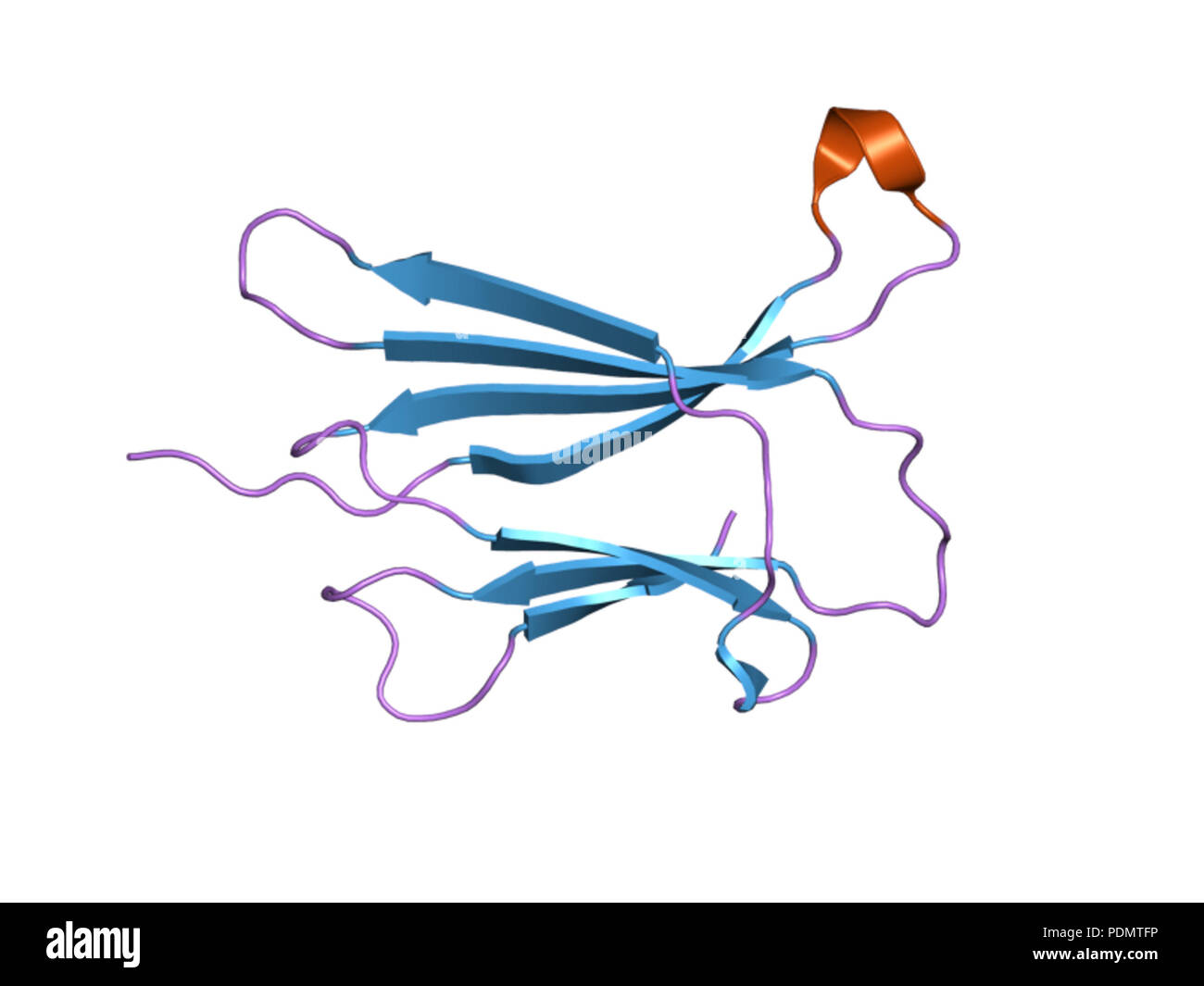 2d:4d hi-res stock photography and images - Alamy