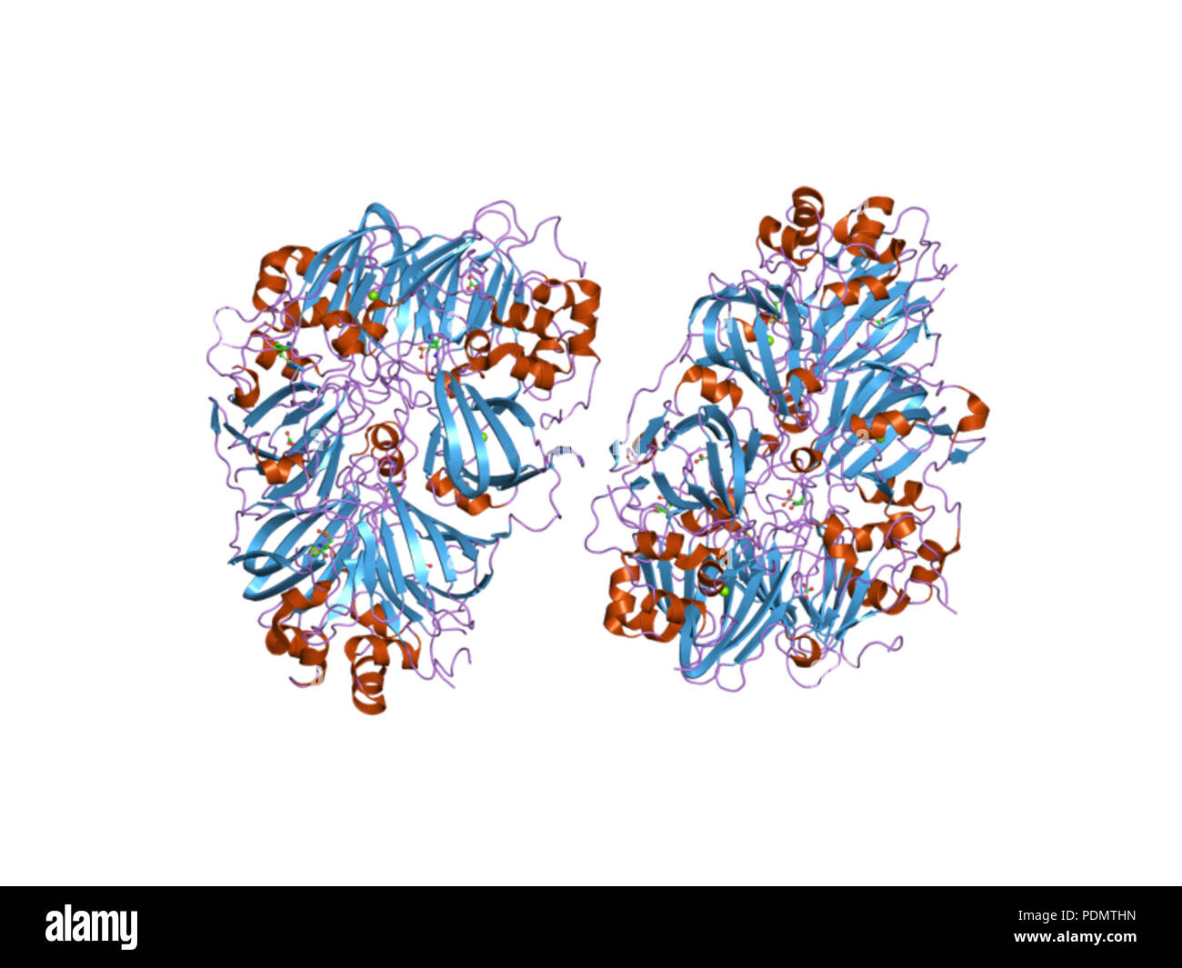 2d5h hi-res stock photography and images - Alamy