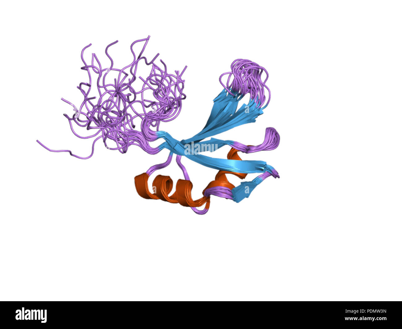 Protein structure database hi-res stock photography and images - Alamy