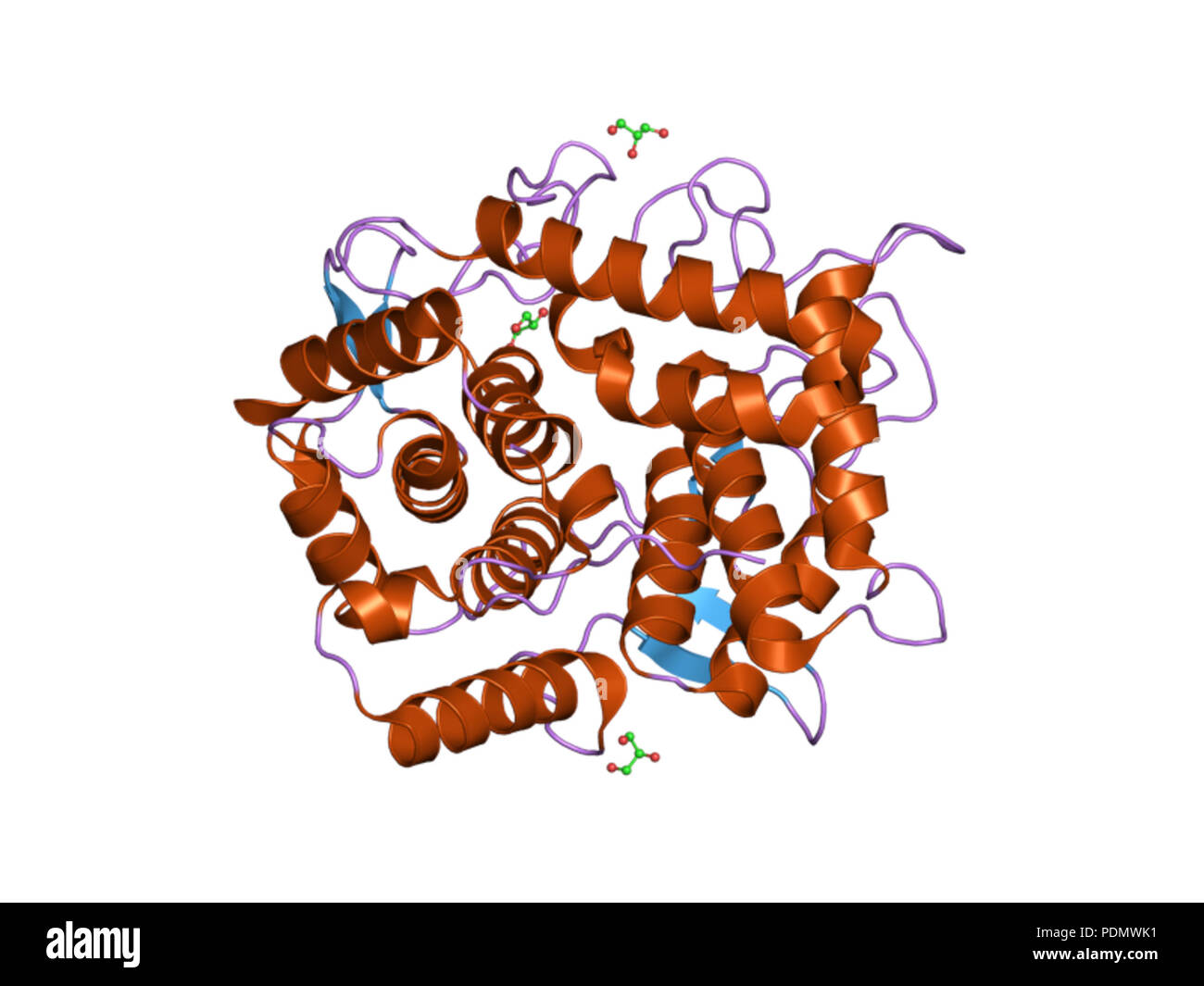 We 177 Cut Out Stock Images & Pictures - Alamy