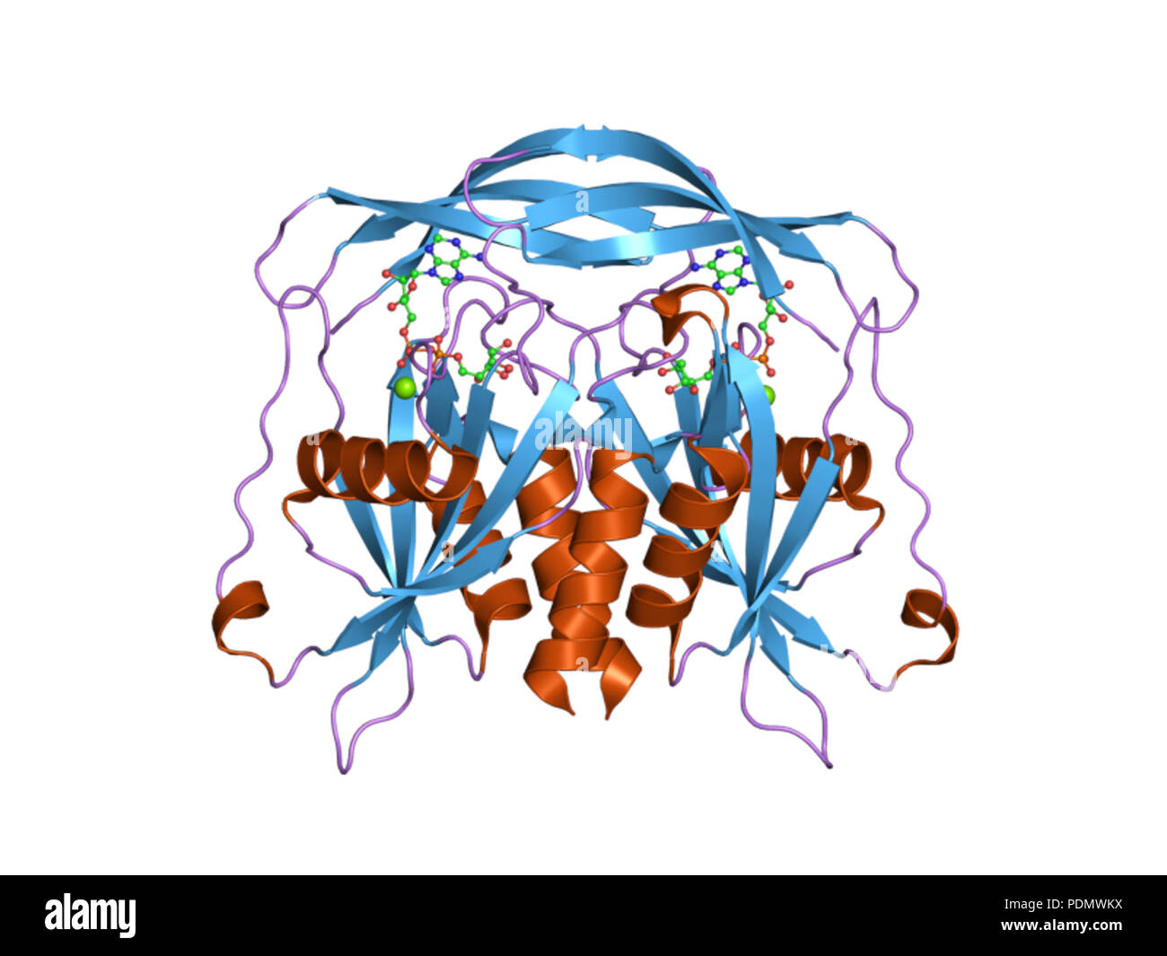 He 178 Cut Out Stock Images & Pictures - Alamy