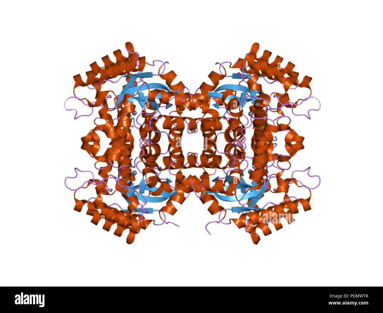 Official military review hi-res stock photography and images - Alamy