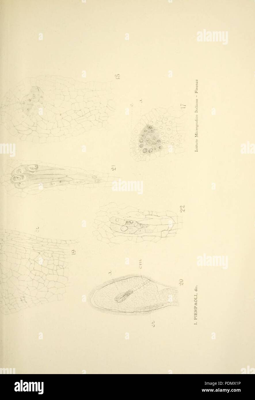 Annali hi-res stock photography and images - Alamy