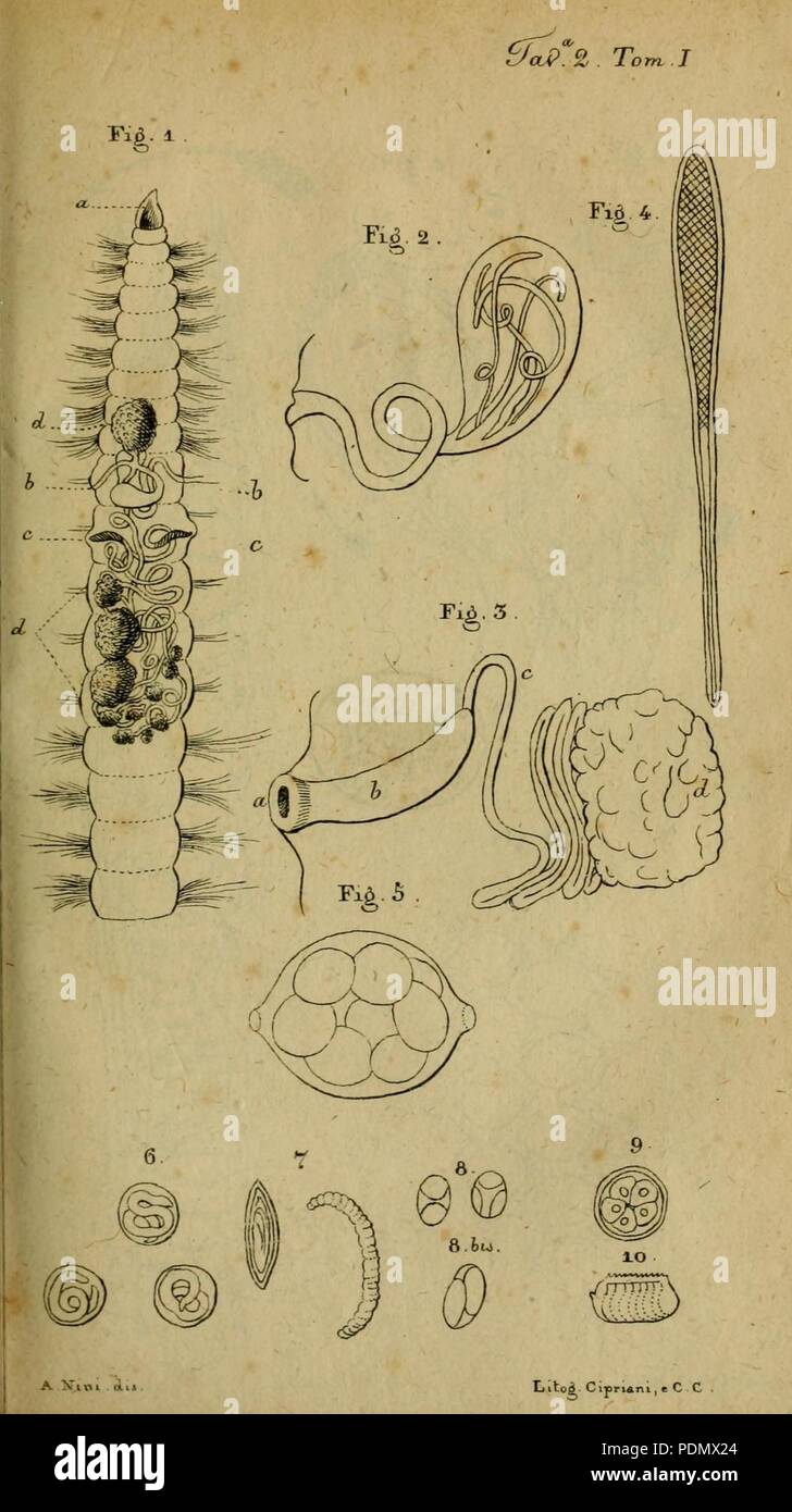 Annali hi-res stock photography and images - Alamy