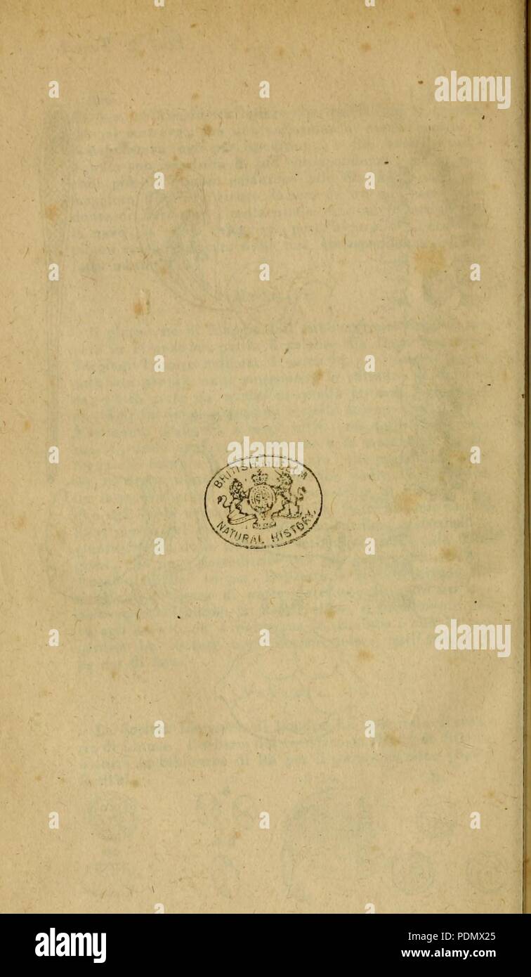 Annali hi-res stock photography and images - Alamy