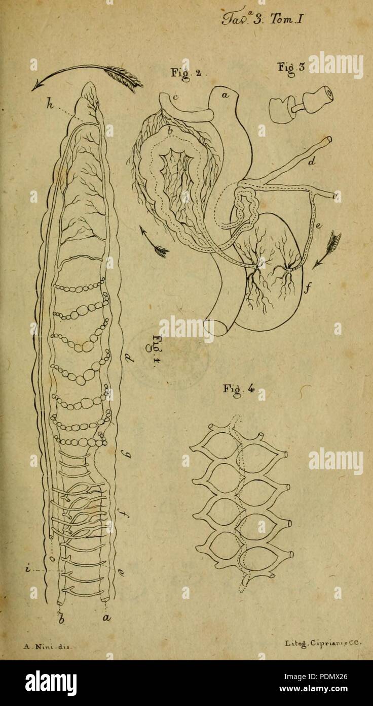 Annali hi-res stock photography and images - Alamy