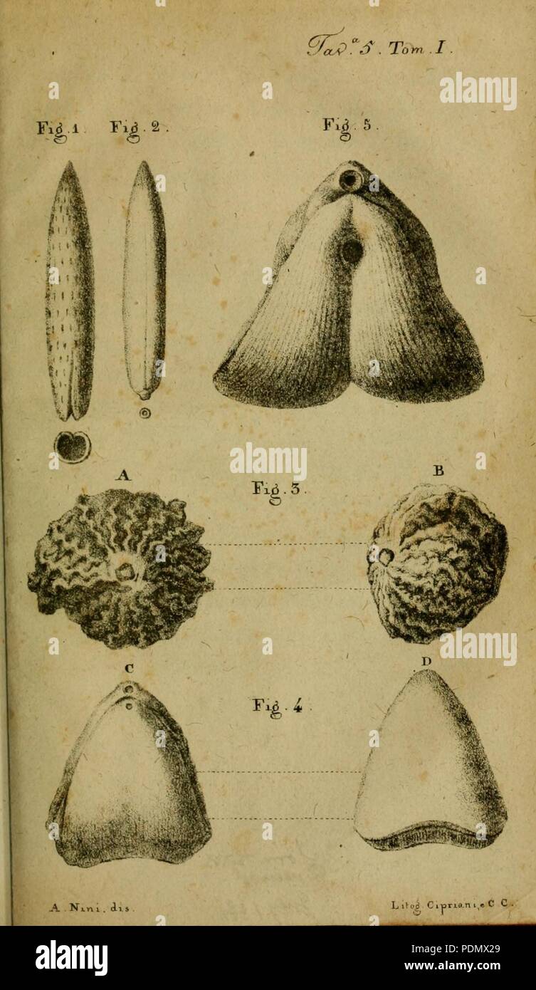 Annali hi-res stock photography and images - Alamy