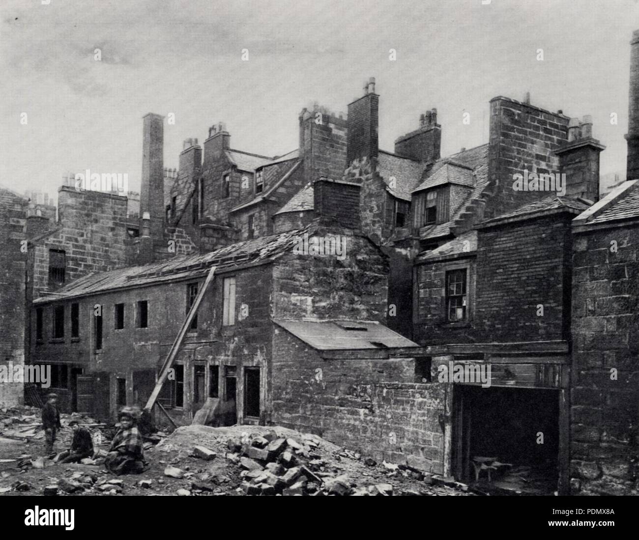 Die back hi-res stock photography and images - Alamy