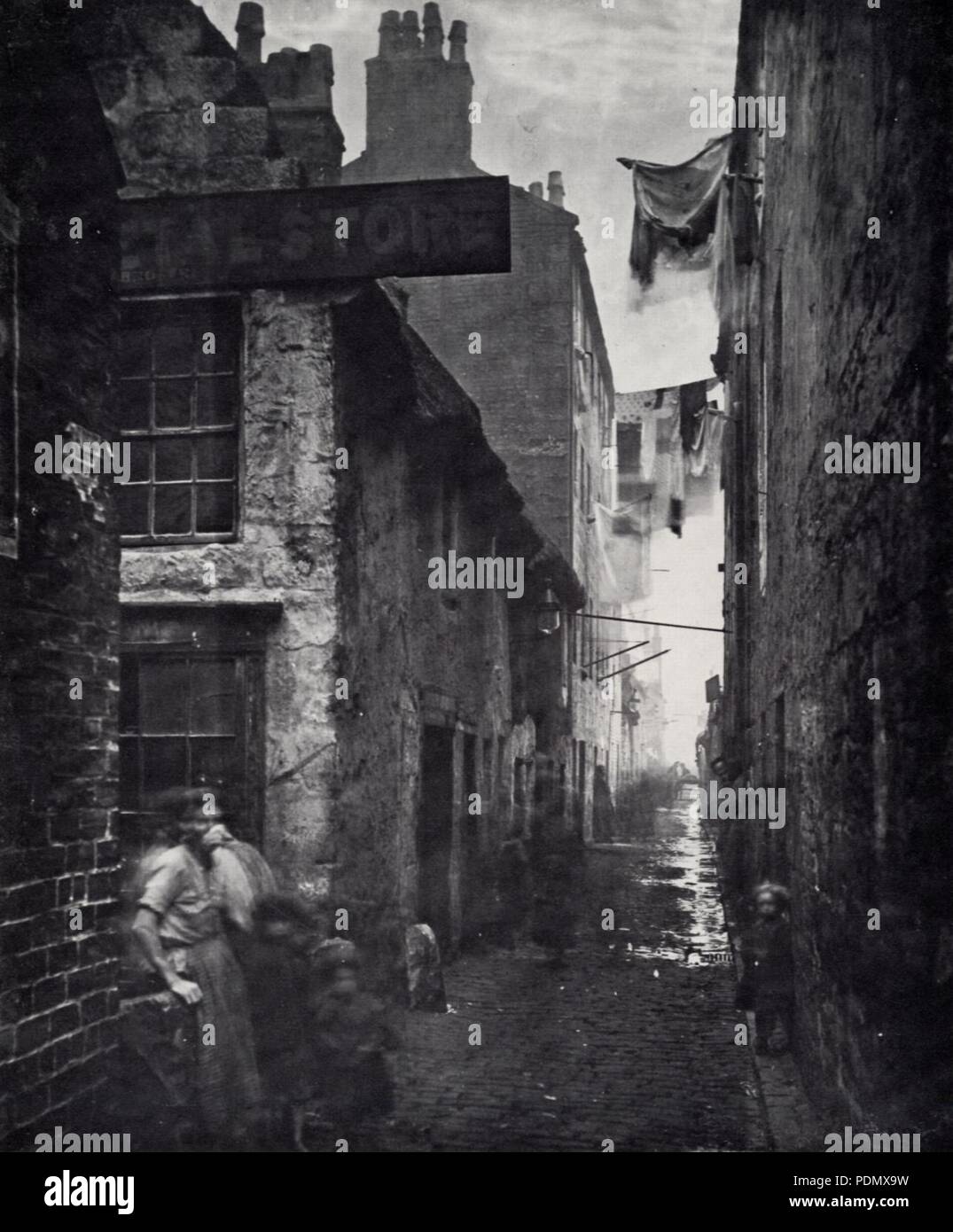 Der vennel hi-res stock photography and images - Alamy