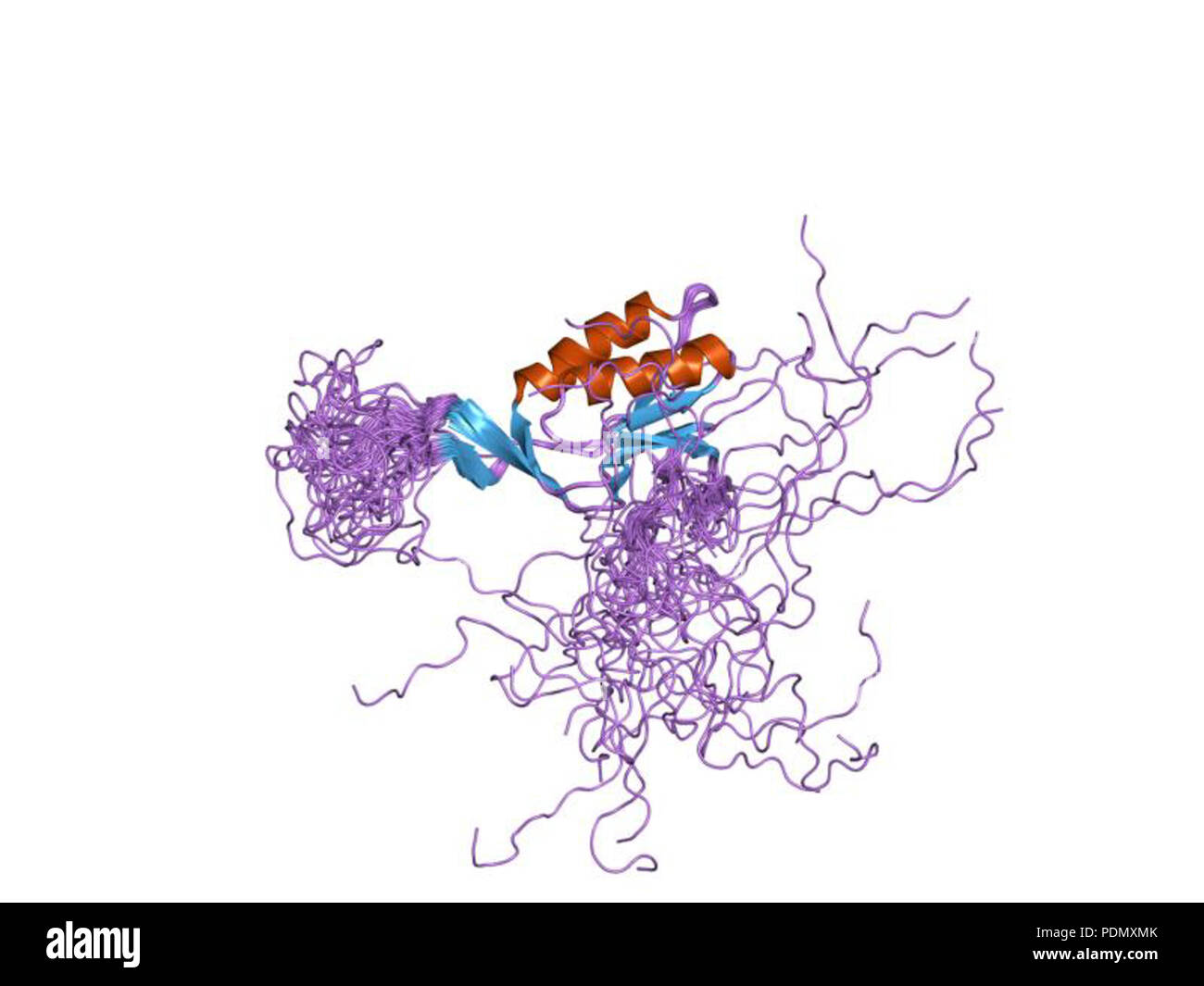Structural imaging hi-res stock photography and images - Alamy