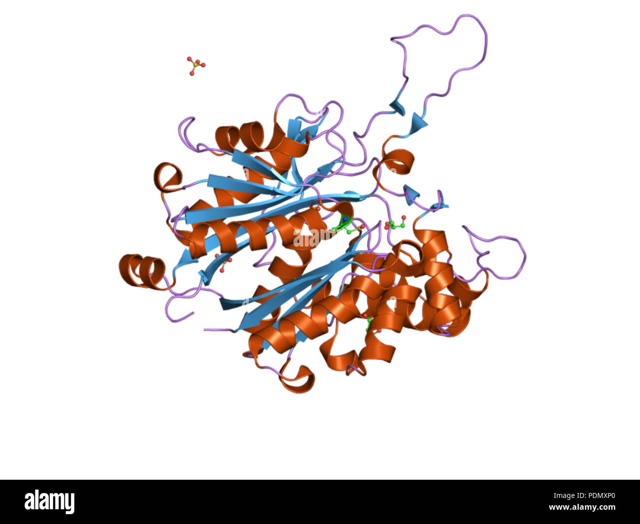 Ribosome recycling hi-res stock photography and images - Alamy
