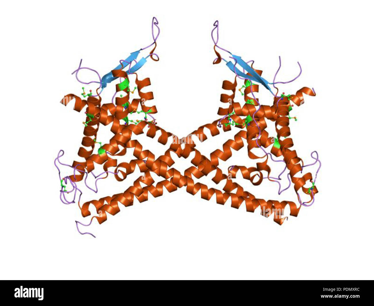 Code 135 Cut Out Stock Images & Pictures - Alamy