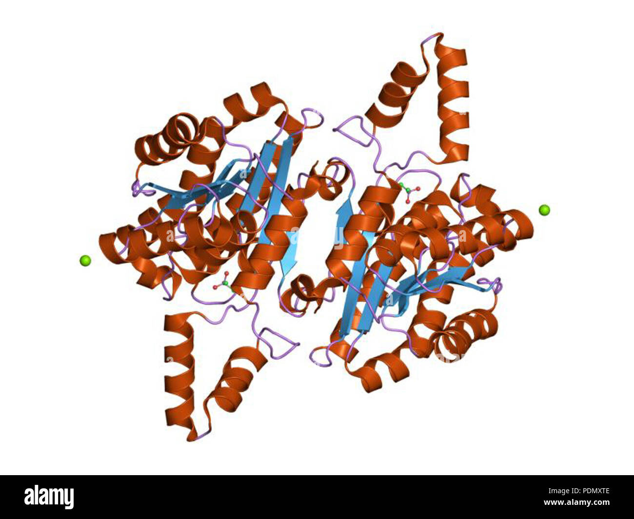 135 3 Cut Out Stock Images & Pictures - Alamy