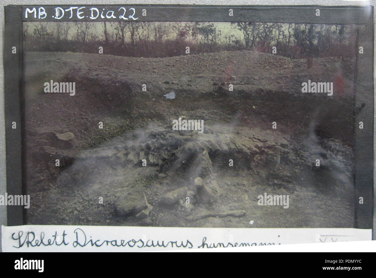 Tendaguru hi-res stock photography and images - Alamy