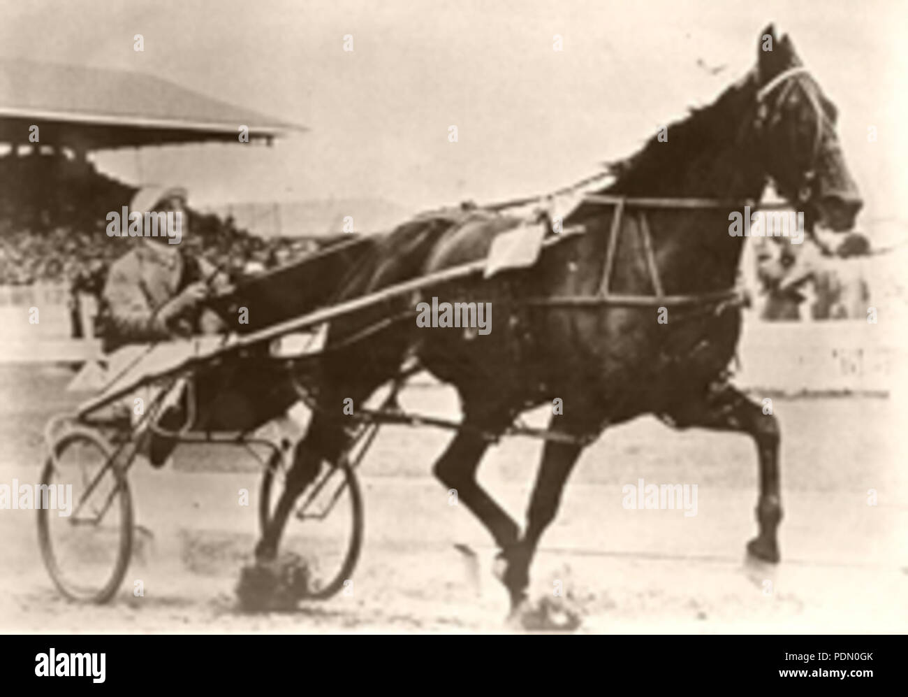 Ship captain woman hi-res stock photography and images - Alamy