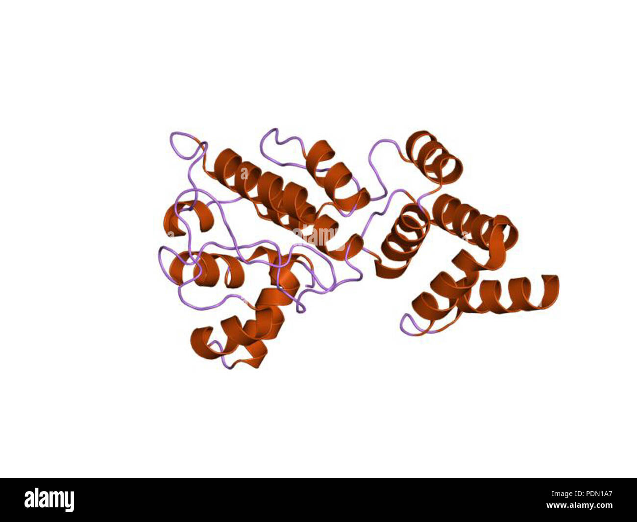144 伝名和長年像 Cut Out Stock Images & Pictures - Alamy