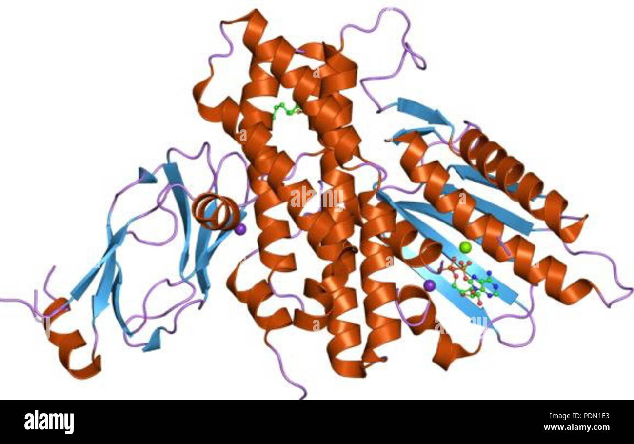 144 PDB 1y8o EBI Stock Photo - Alamy