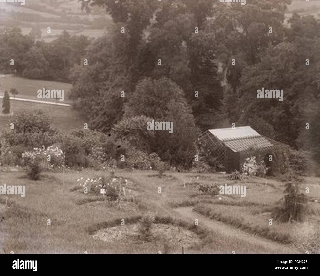 Annie's arboretum and the Suffragettes' Nest at Eagle House Batheaston ...