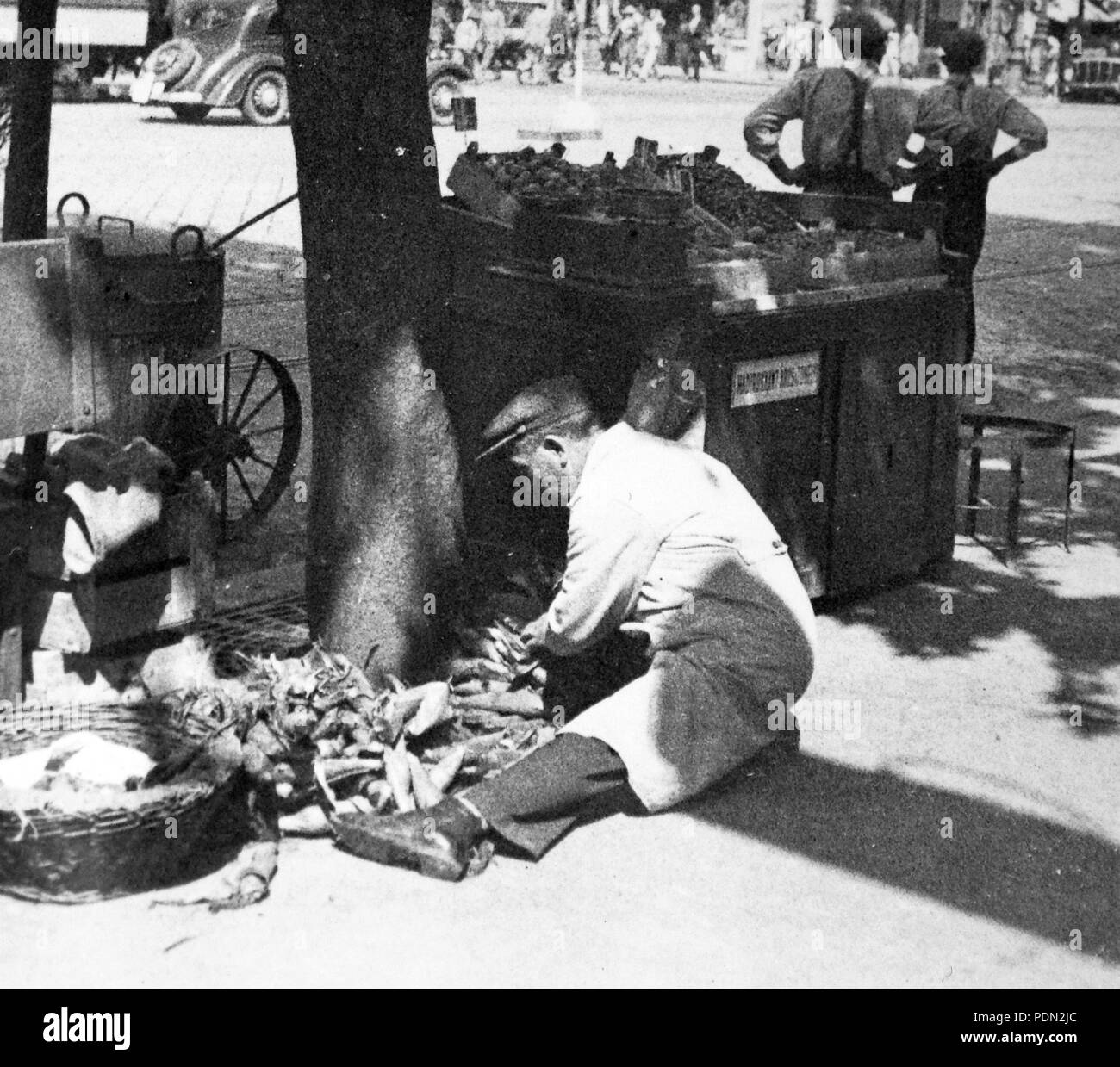 12117 hi-res stock photography and images - Alamy