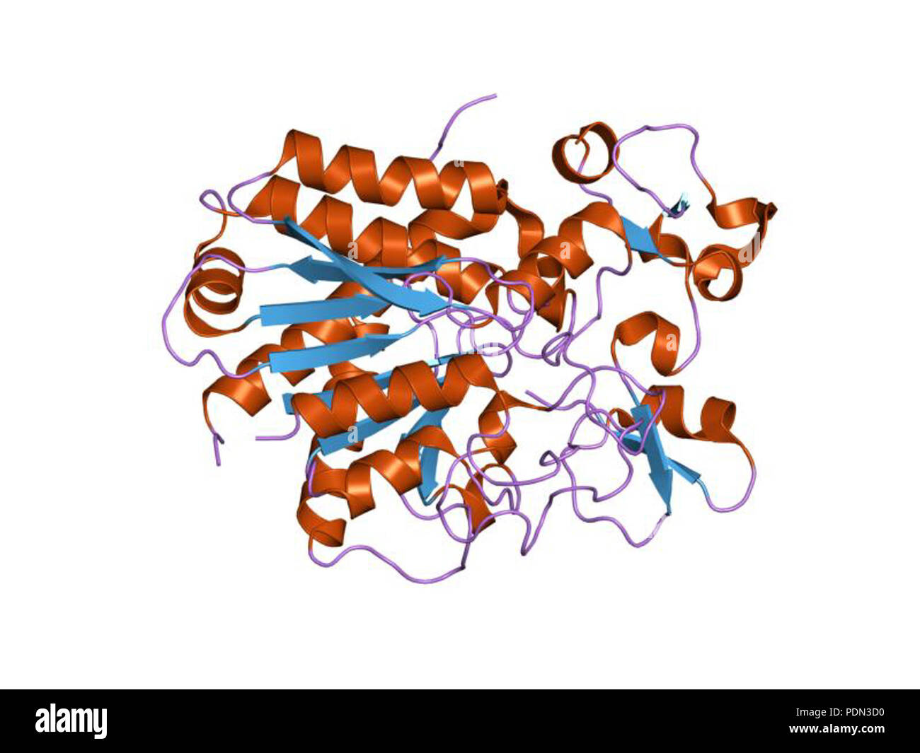 Historical object archive Cut Out Stock Images & Pictures - Alamy