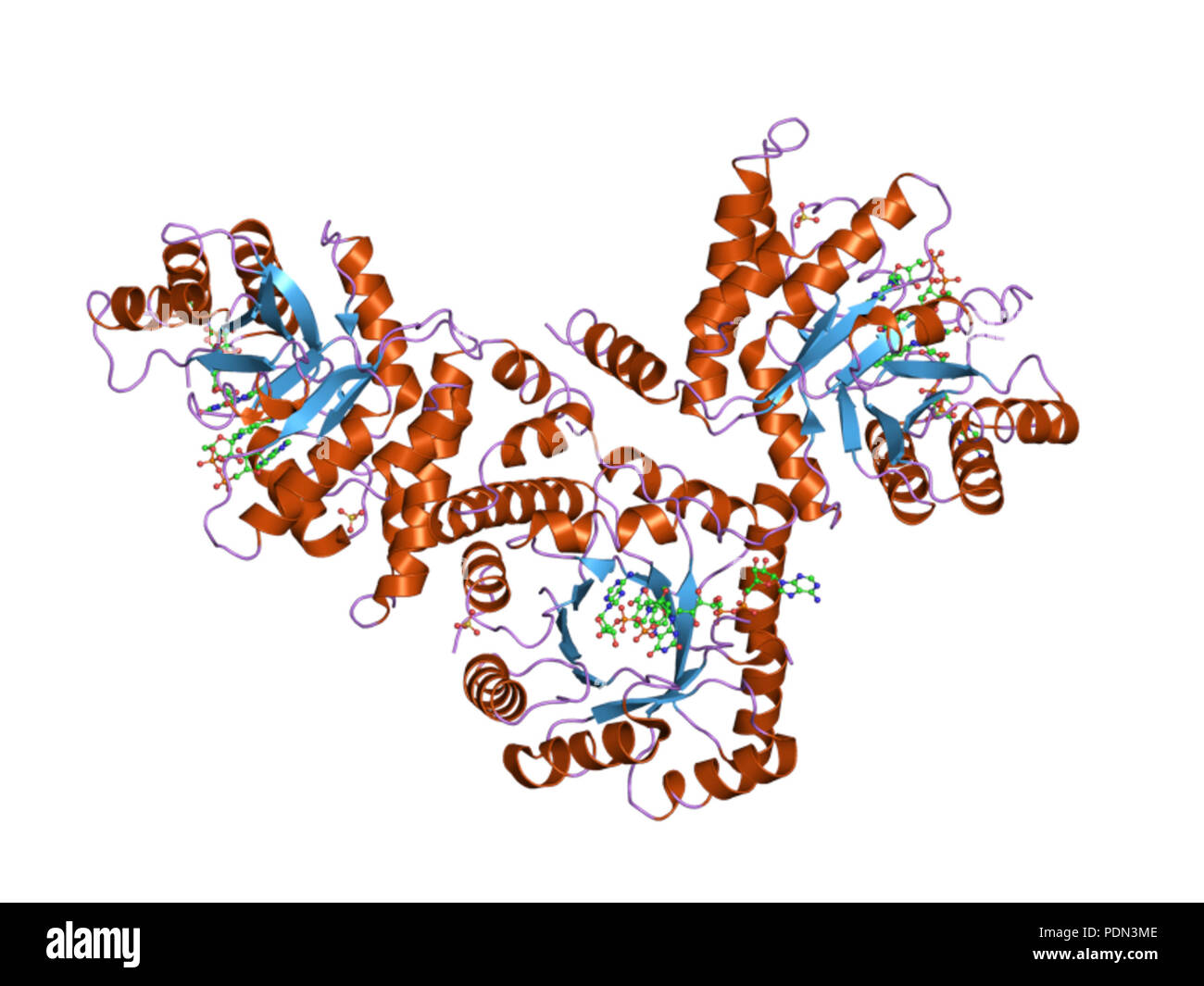 Entry 153 Cut Out Stock Images & Pictures - Alamy