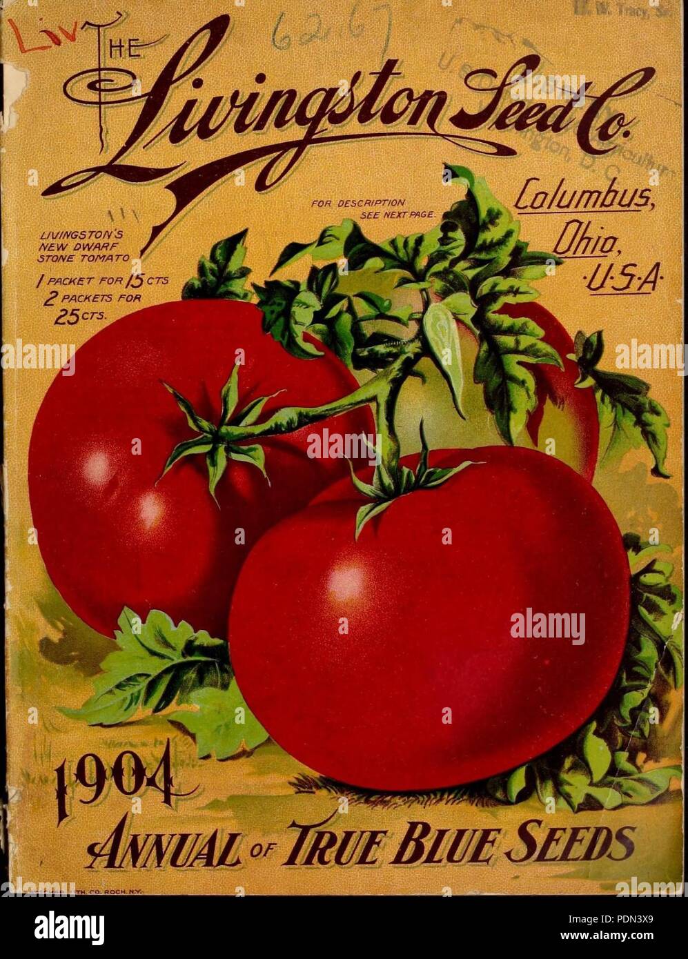 Annual of true blue seeds Stock Photo - Alamy