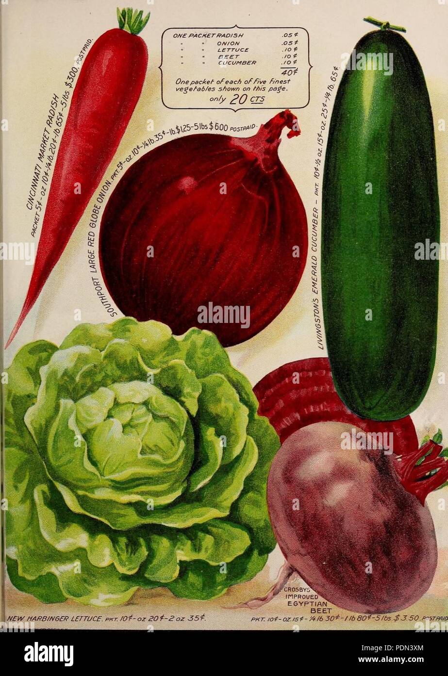 Annual of true blue seeds Stock Photo - Alamy