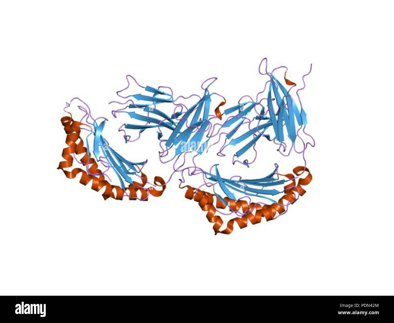 154 models hi-res stock photography and images - Alamy