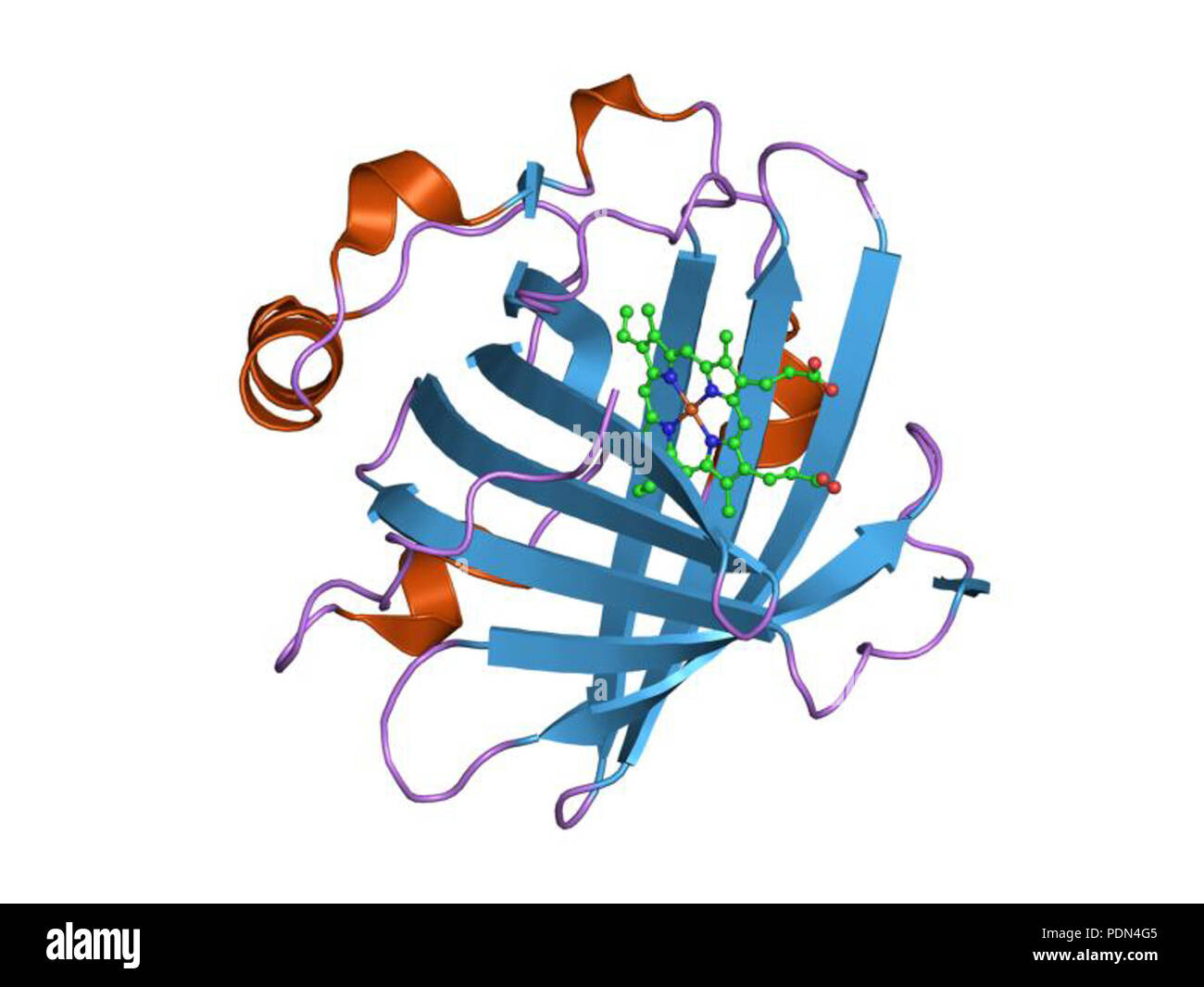 Document reference Cut Out Stock Images & Pictures - Alamy