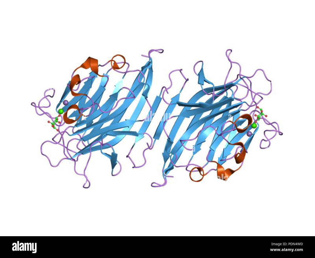 Microscopic observations hi-res stock photography and images - Alamy