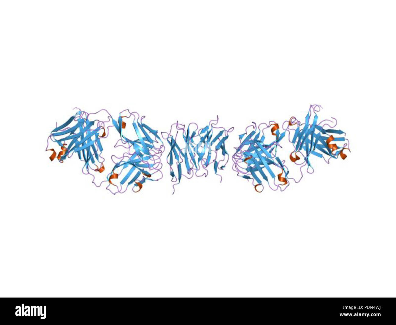 160 PDB 2arj EBI Stock Photo - Alamy