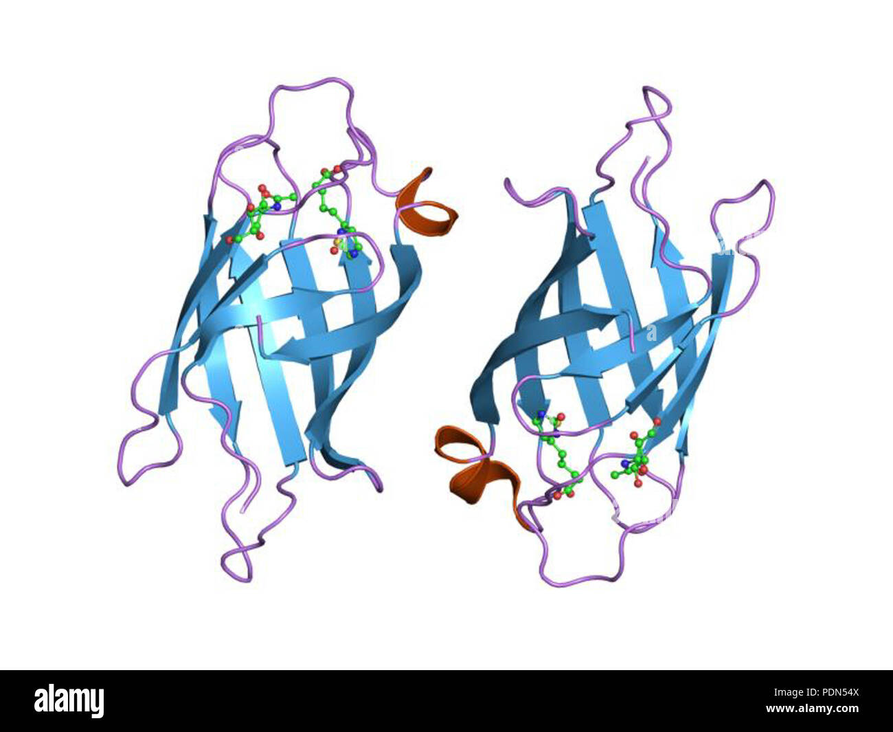 Cinematic series Cut Out Stock Images & Pictures - Alamy