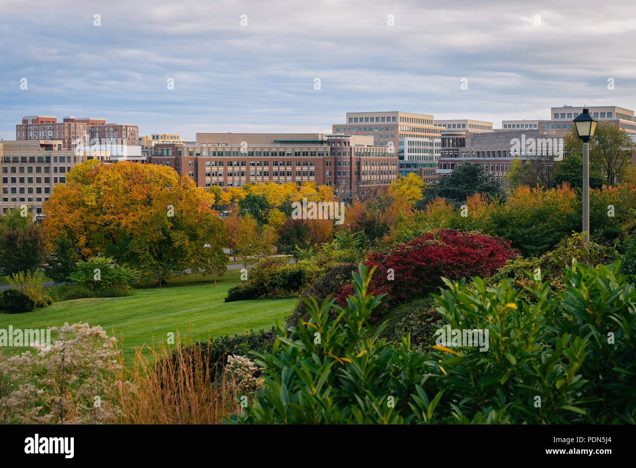 Fall foliage and modern buildings in Alexandria, Virginia Stock Photo ...