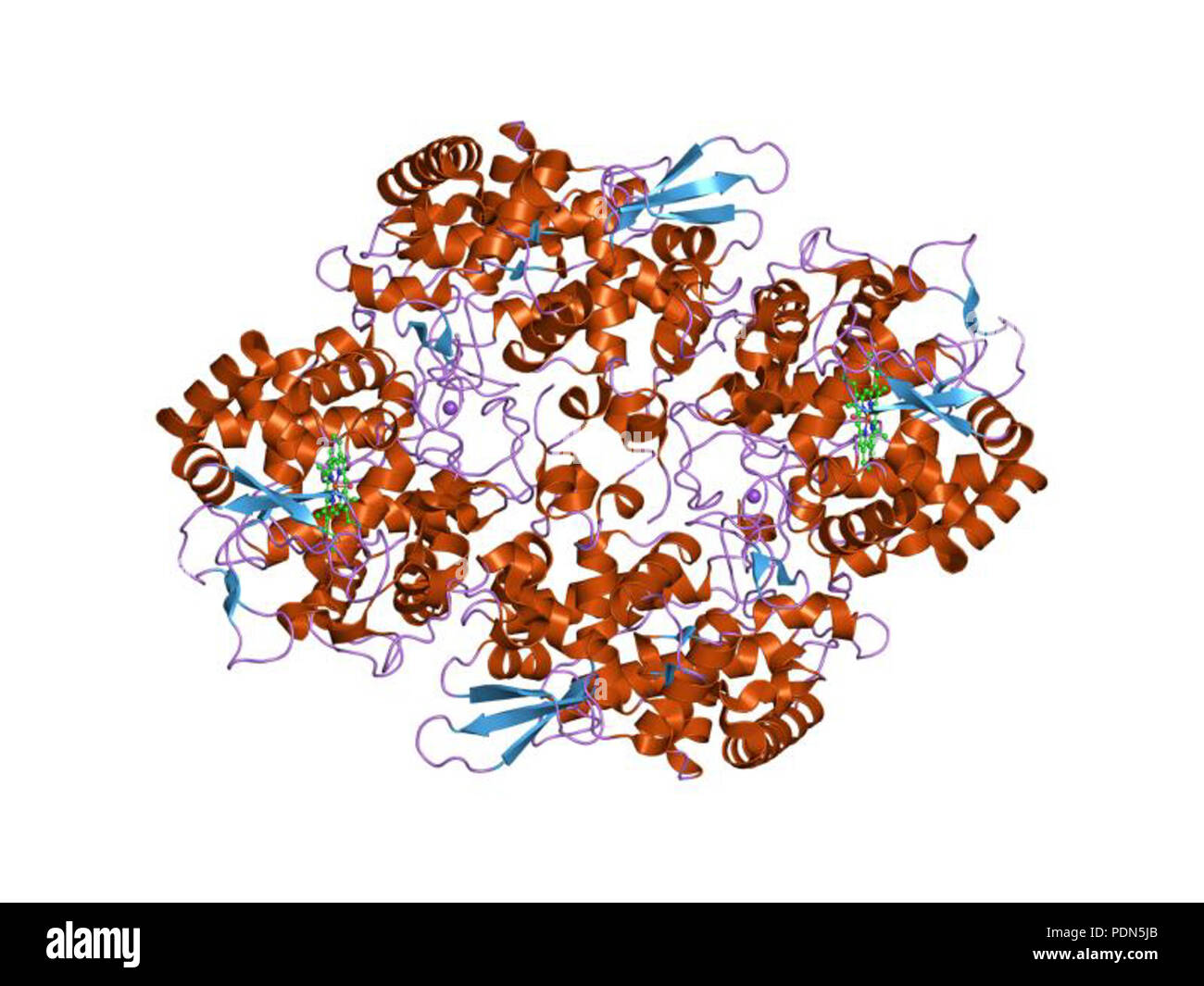 Pdb hi-res stock photography and images - Alamy