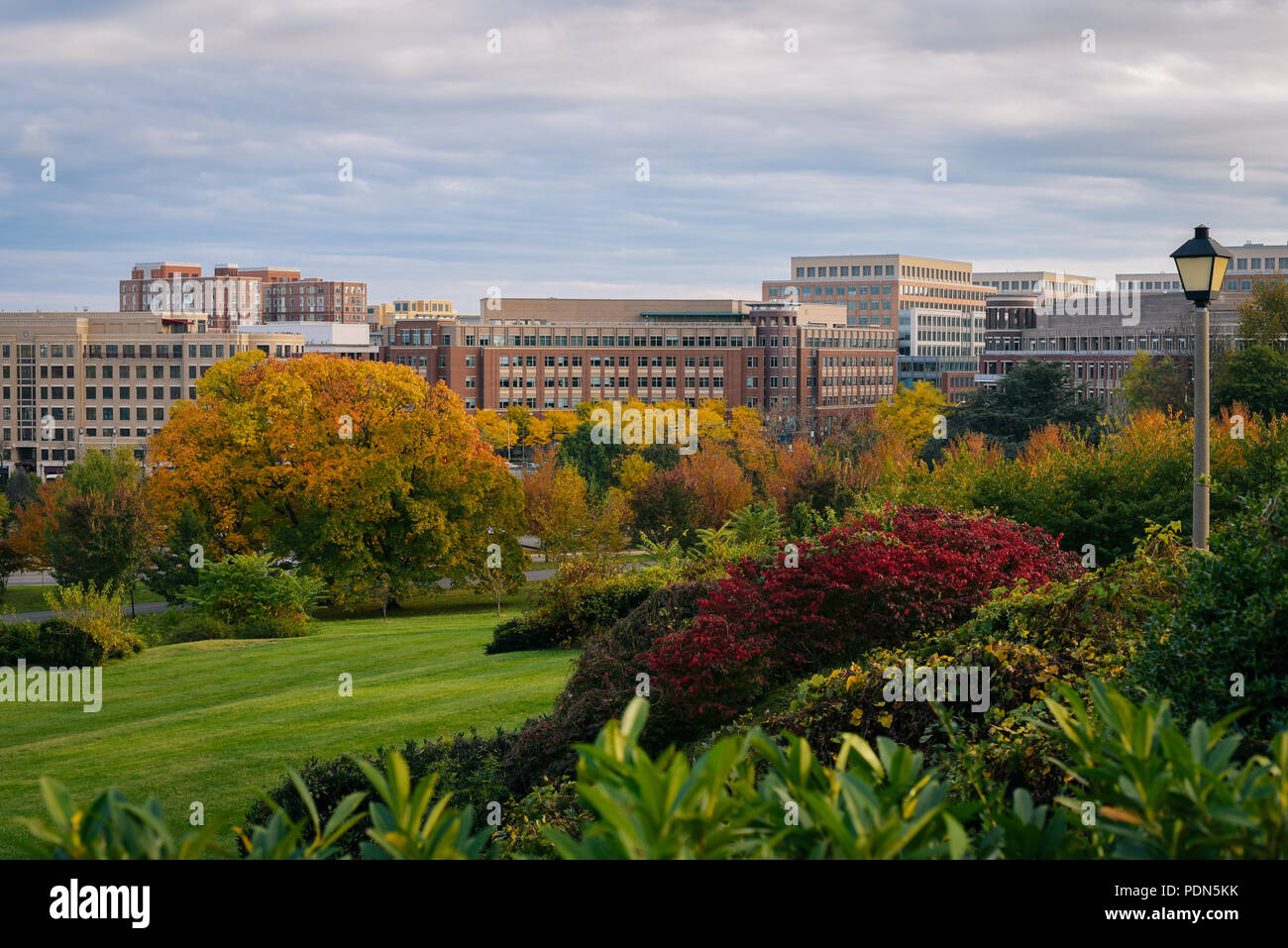 Fall foliage and modern buildings in Alexandria, Virginia Stock Photo ...
